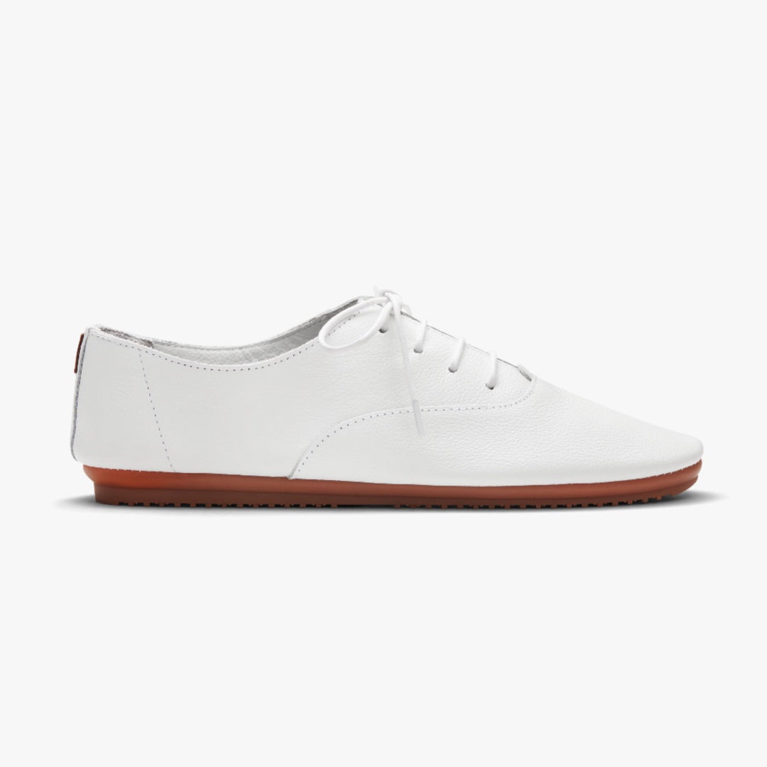 Classics – ANOTHERSOLE | SG